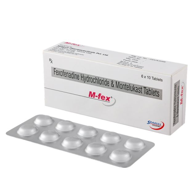 Respiratory – SEAGULL PHARMA